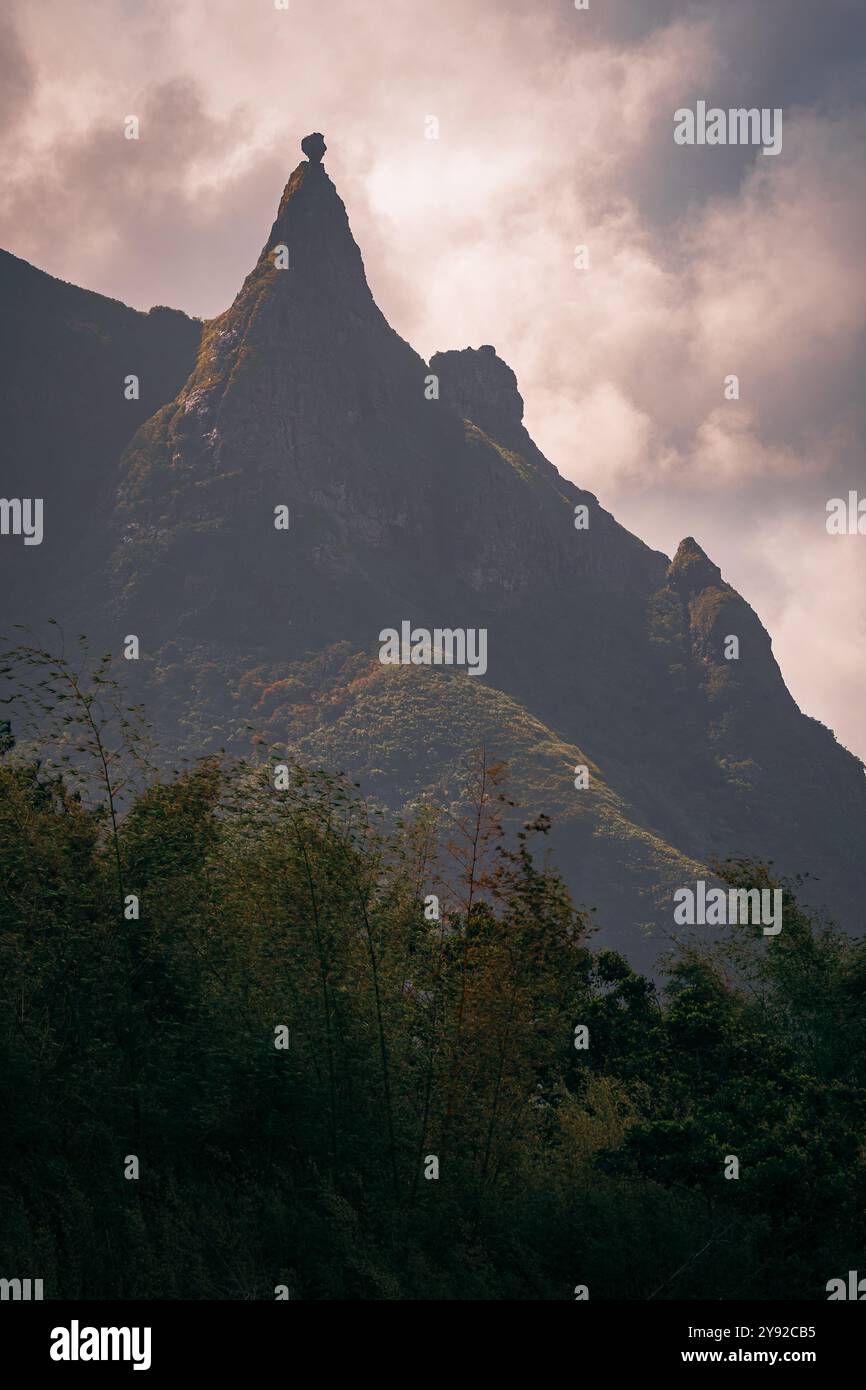 Mystical view of the legendary Pieter Both, also known as Peter Botte ...