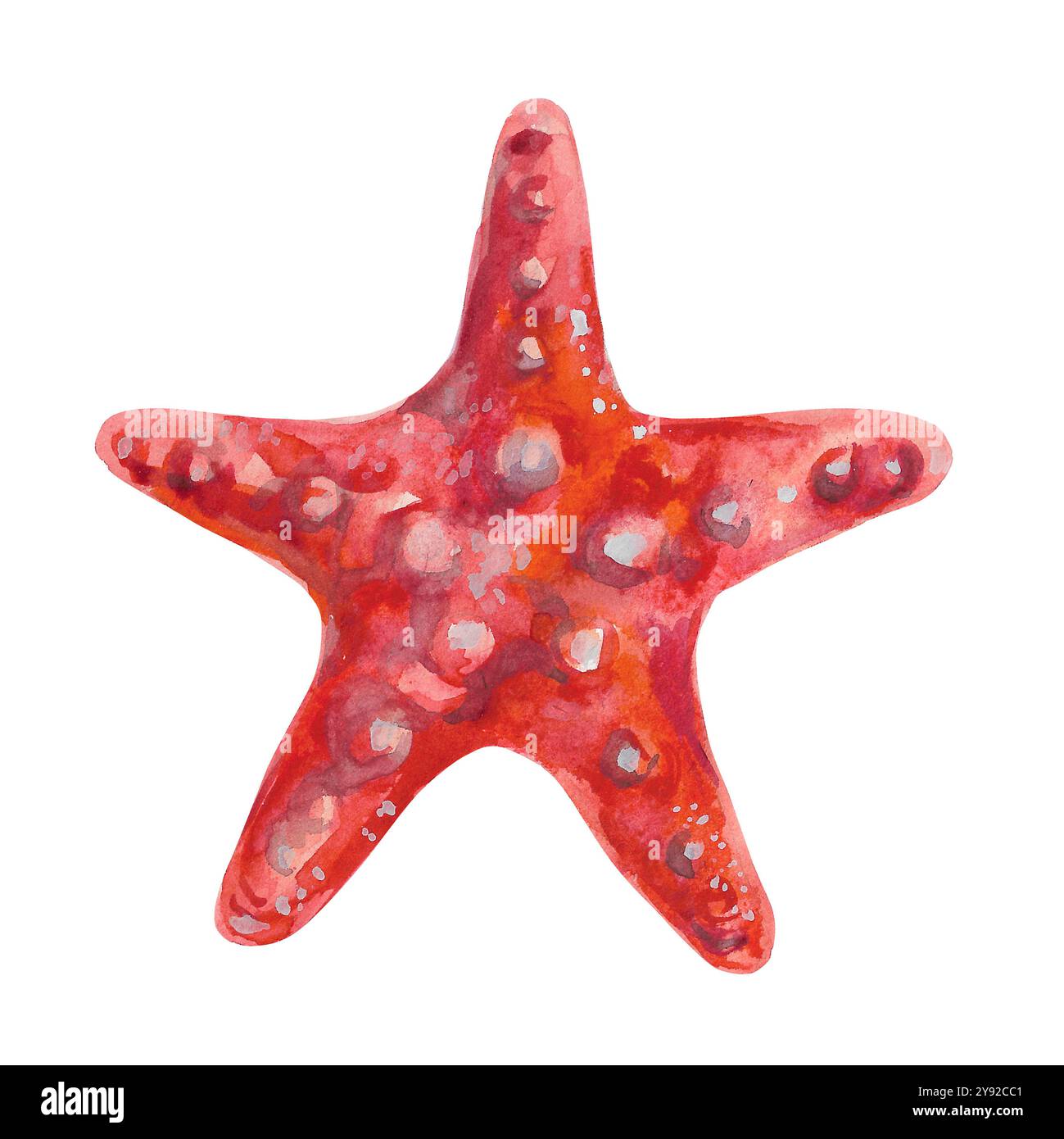 Starfish from the series sea creatures underwater world in watercolor ...