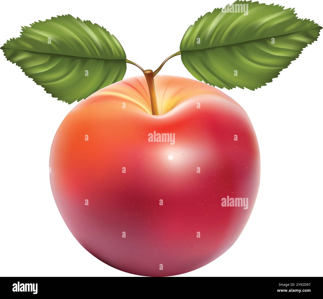 Organic vector Apples: Nature’s Sweet Snack Stock Vector Image & Art ...