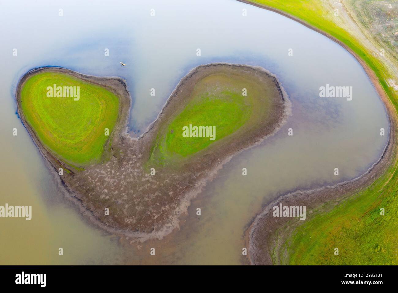 Aerial view of green islands in a drying river at Joyces Creek, Ciarn ...