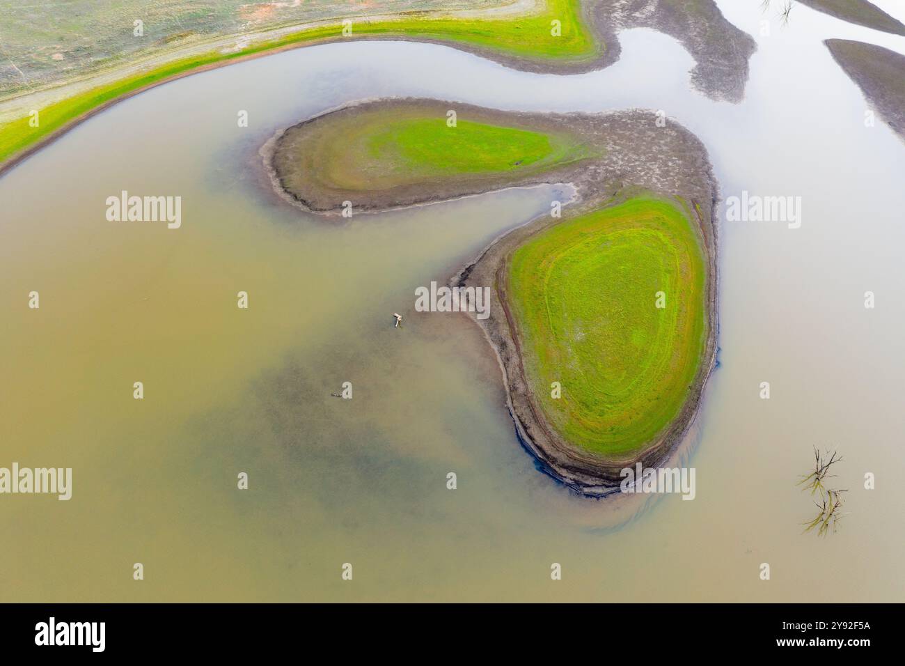 Aerial view of green islands in a drying river at Joyces Creek, Ciarn ...