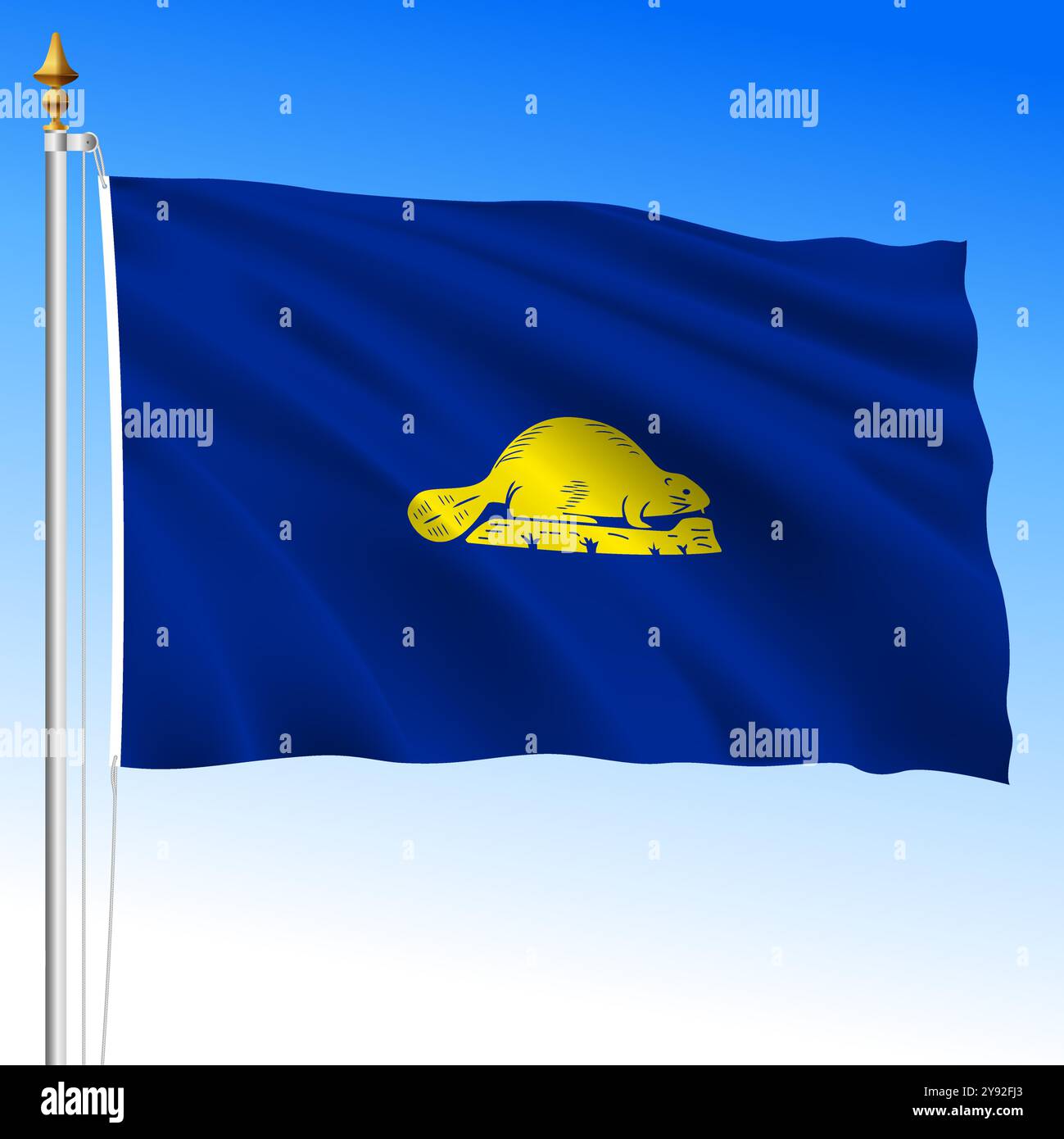 Oregon federal state waving flag, back side, United States, vector ...