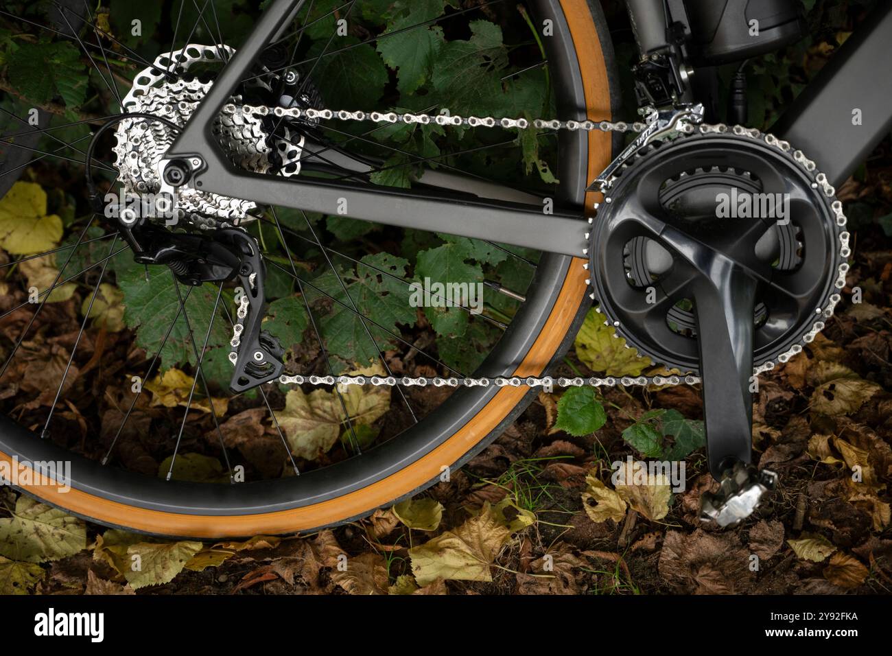 Modern 12 speed drive train for a road bike from japanese manufacturer ...