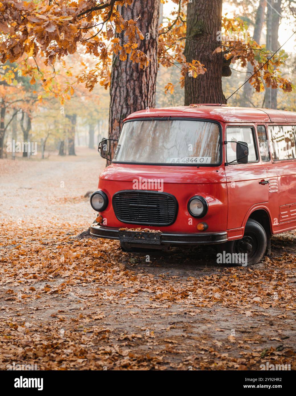 Red classic Barkas B1000 van in autumn forest. Front end three quarter ...