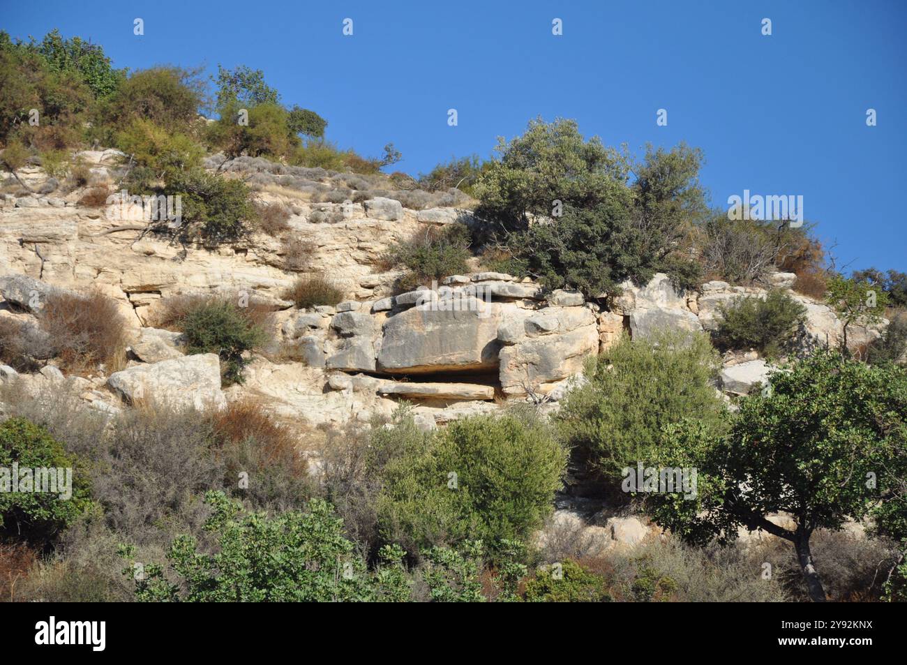 Prastio nature path. A beautiful nature trail winding through forests ...