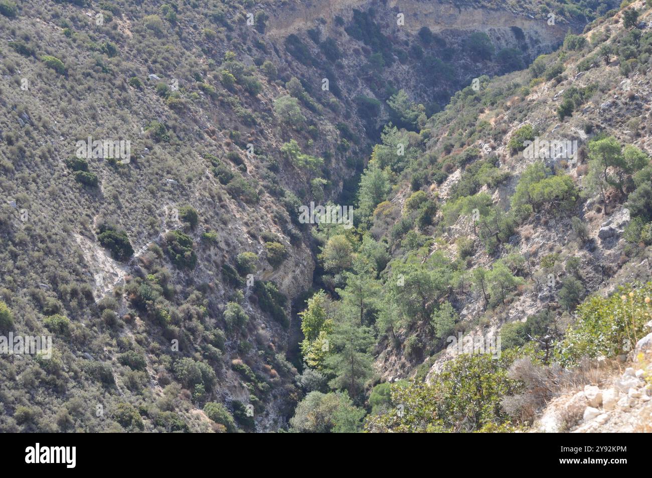 Prastio nature path. A beautiful nature trail winding through forests ...