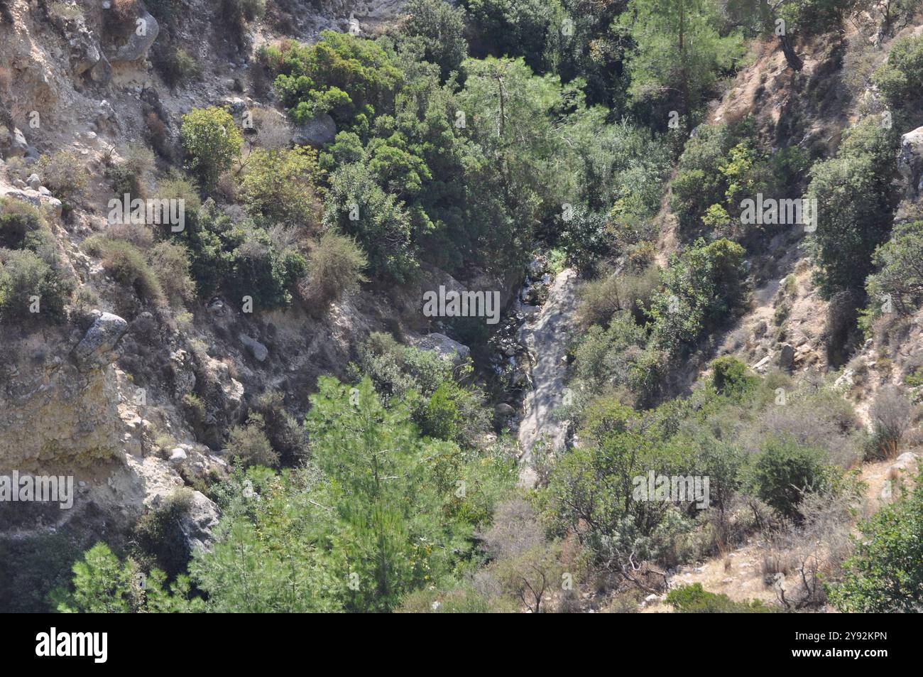 Prastio nature path. A beautiful nature trail winding through forests ...