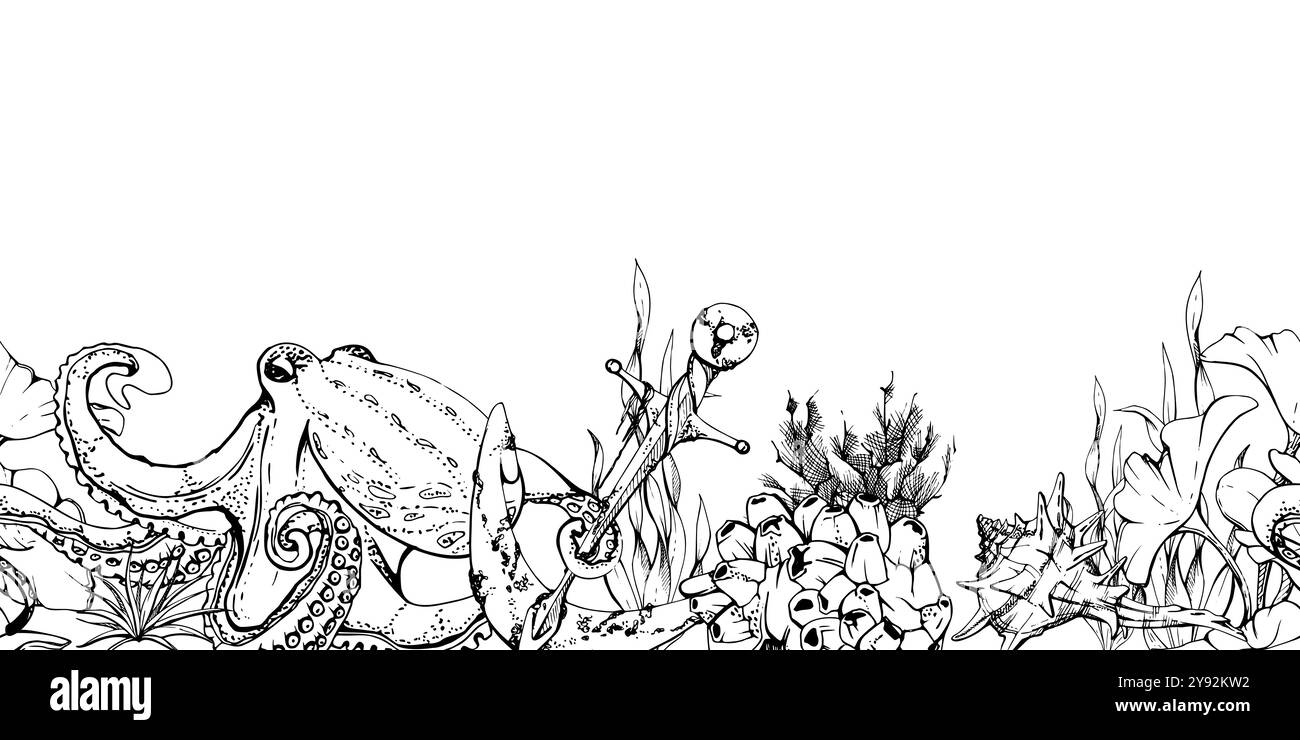 Marine life, sea ocean underwater creatures fish, shells algae seaweed ...