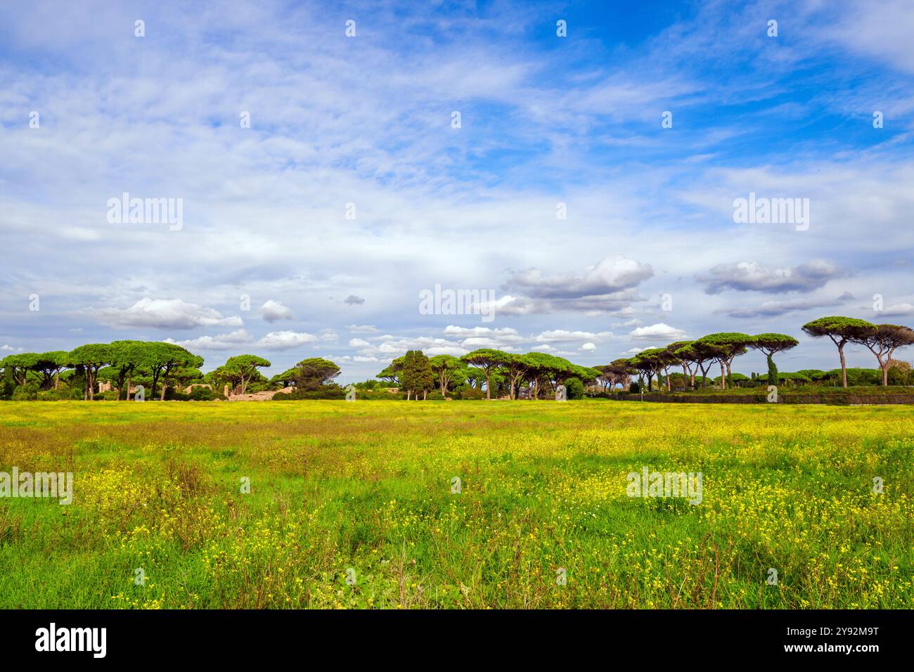 Mediterranean vegetation in the Archeological Park of Ostia Antica ...