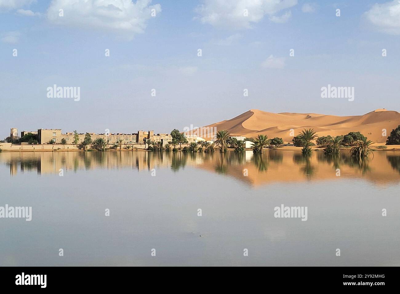 An oasis is reflected in a lake caused by heavy rainfall in the desert ...