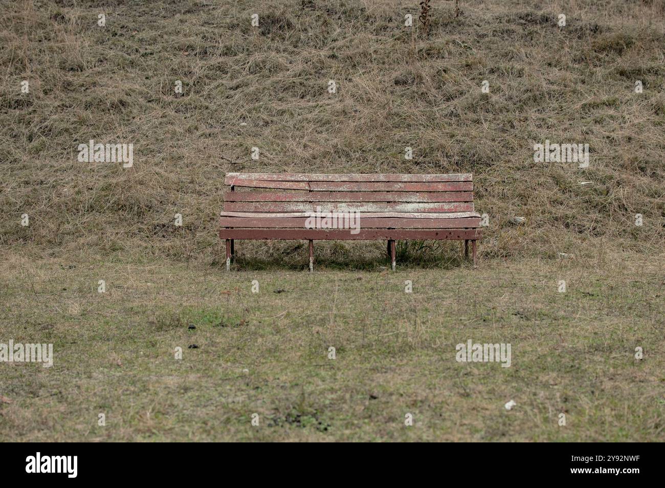 Old bench in a park Stock Photo - Alamy