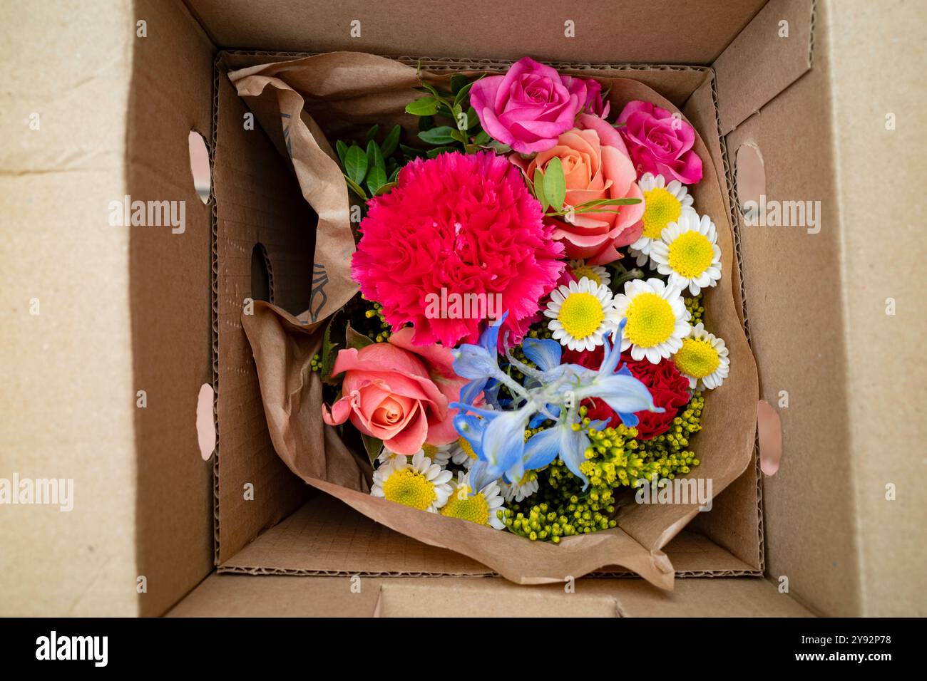 Delivered plants hi-res stock photography and images - Alamy