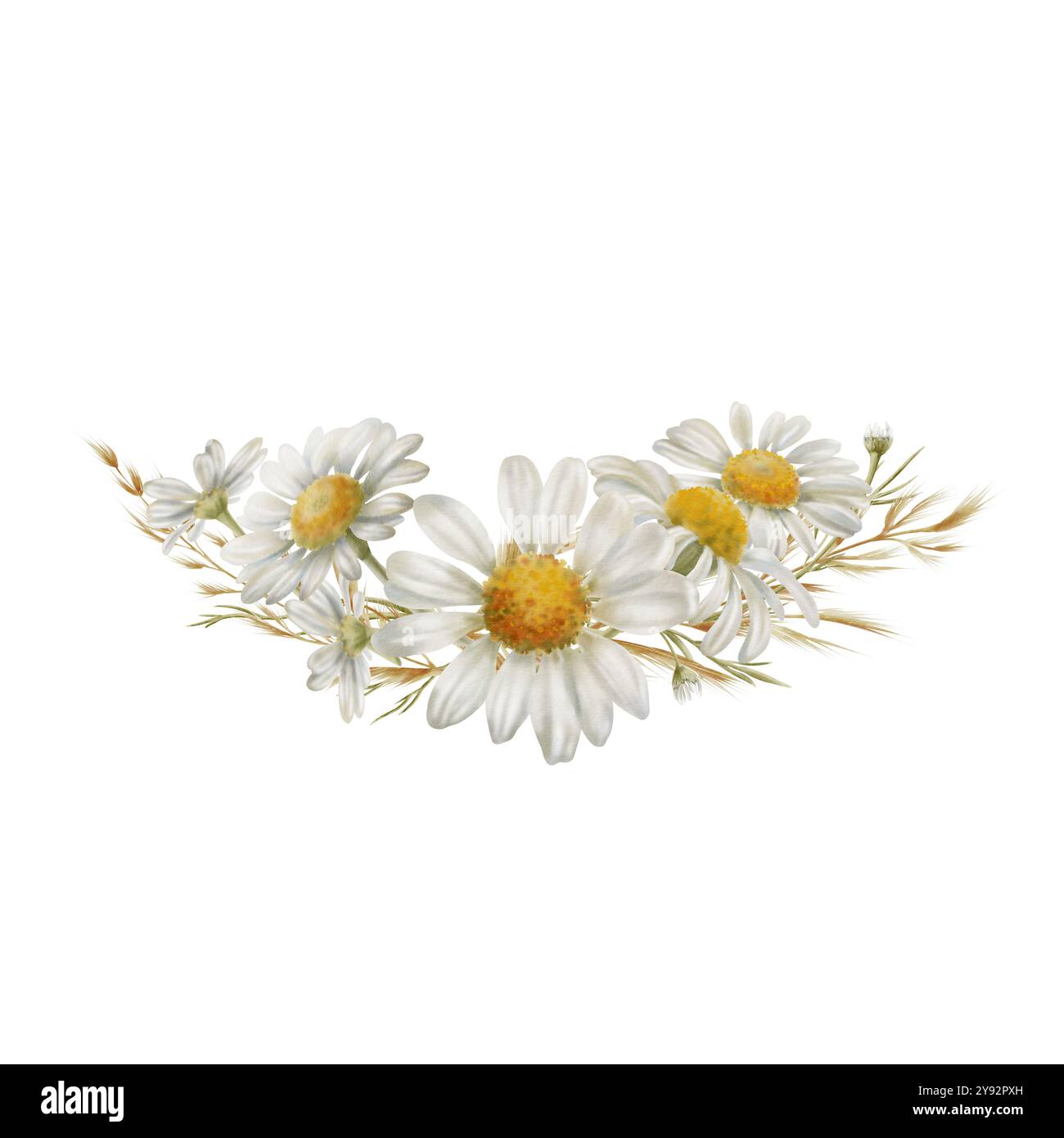 Corner frame element from white daisies flowers buds,dried flowers as a ...