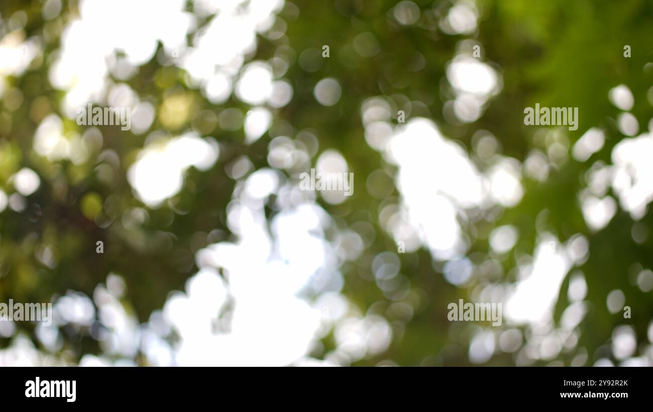 abstract combination of round light yellow and green Stock Photo - Alamy