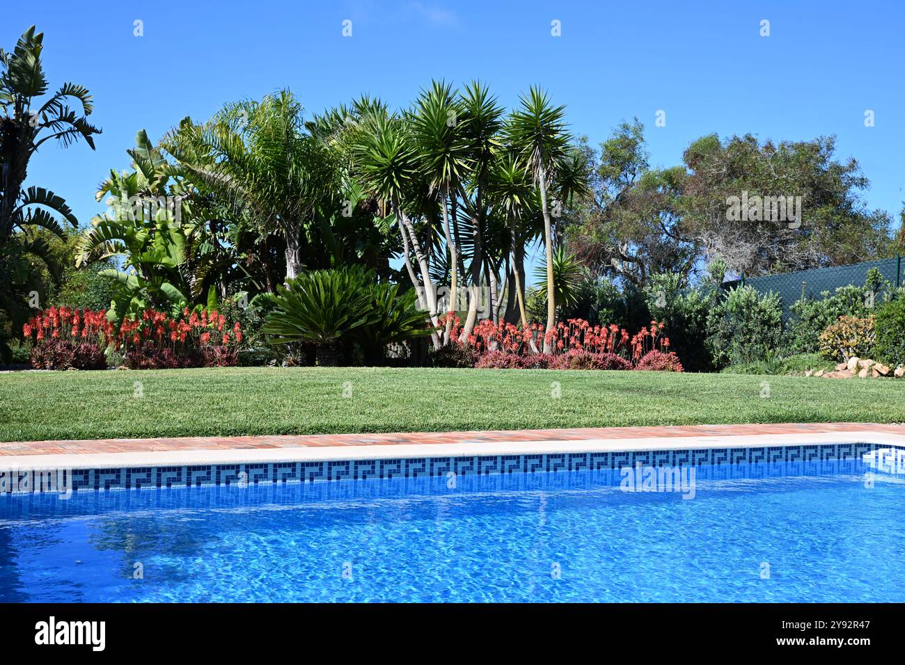 Mediterranean garden with swimming pool, lawn and lush planting of a ...