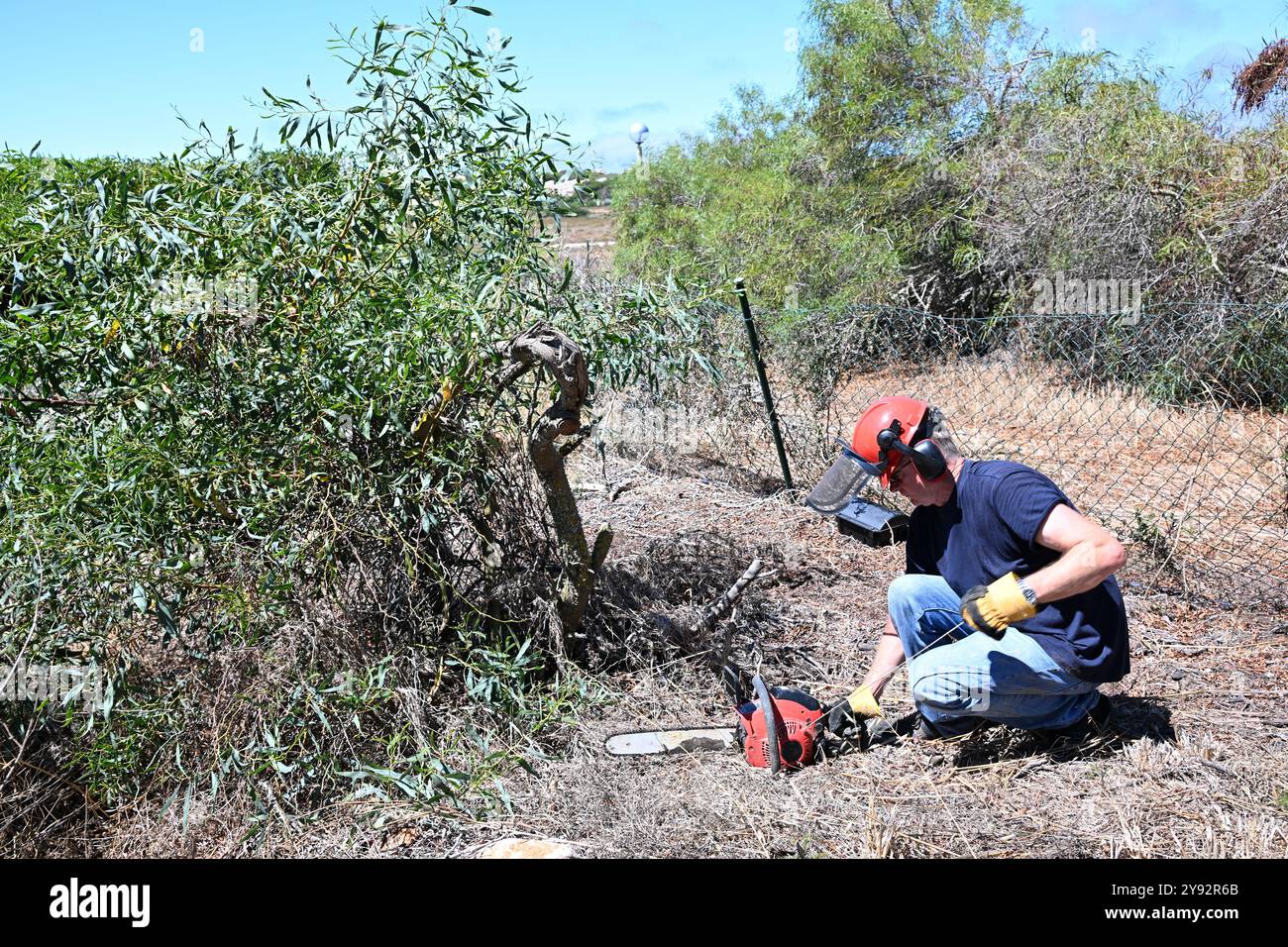 Man start fuel chainsaw cut hi-res stock photography and images - Alamy