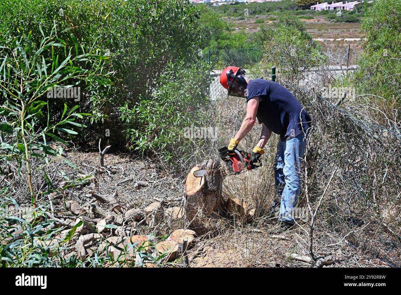 How to remove a tree stump hi-res stock photography and images - Alamy