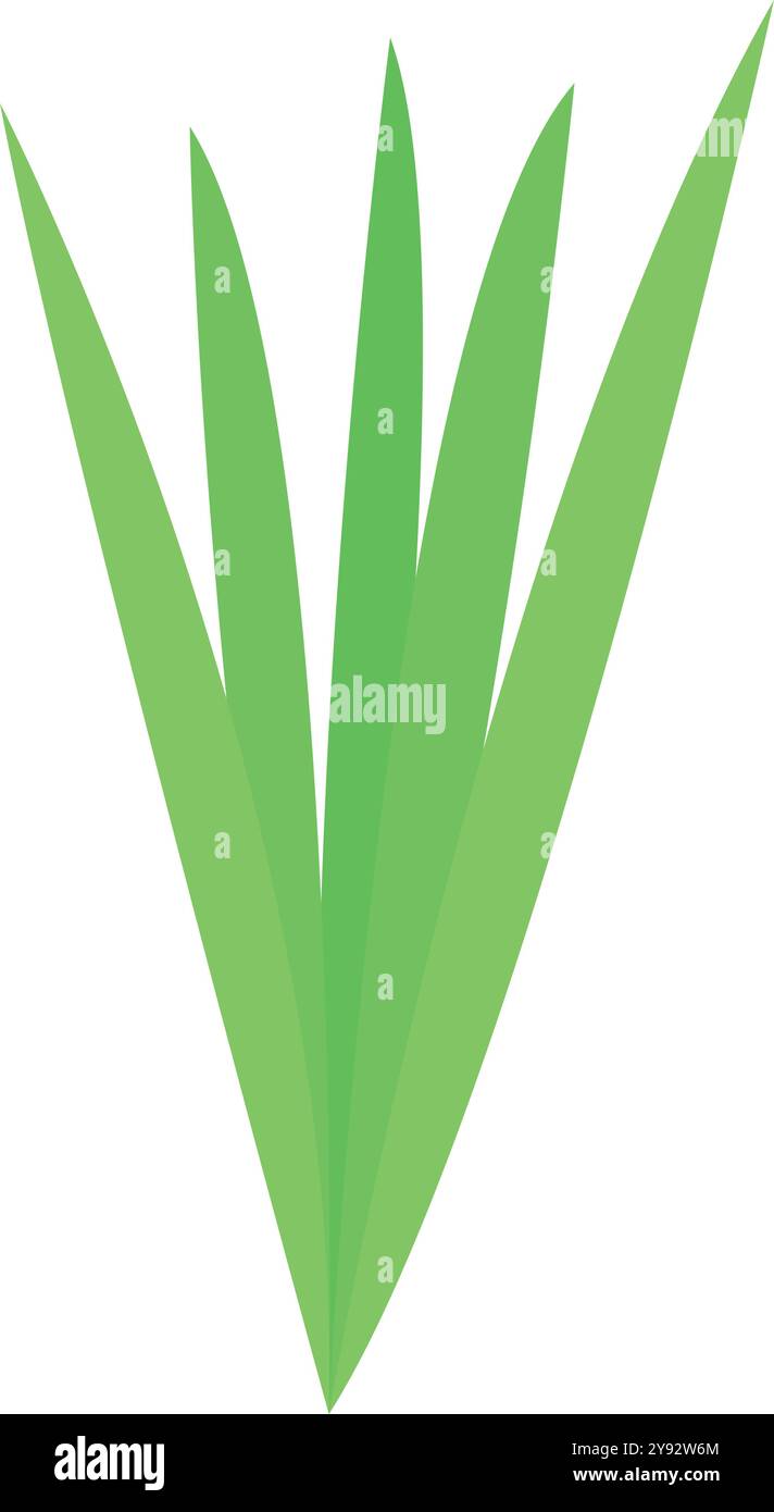 Simple vector illustration of green grass growing upwards, isolated on ...