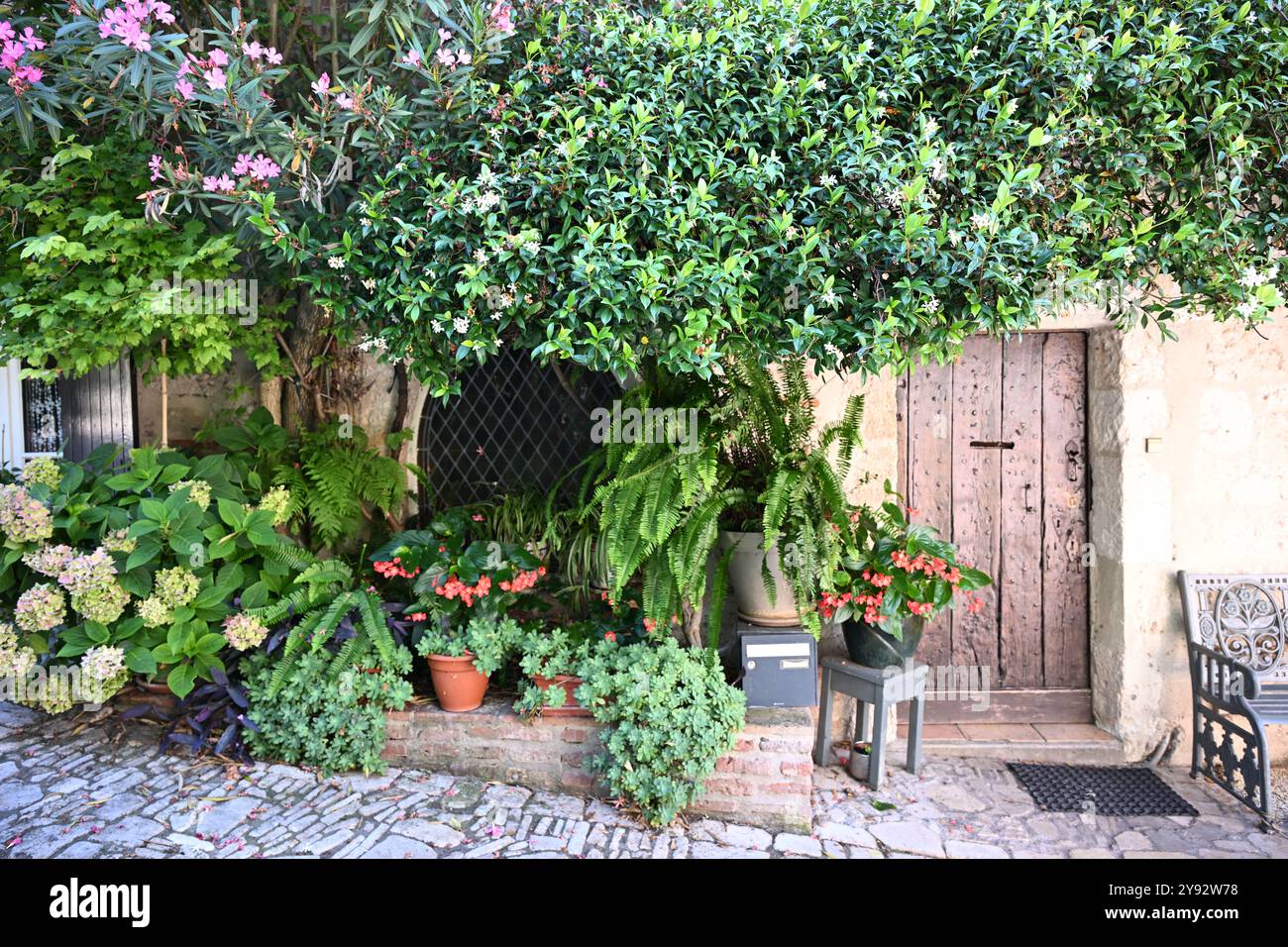 House in a french village with lots of planters and climbing plants ...