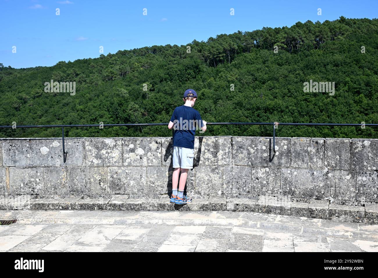 Boy looking over a stone wall at the top of a castle Stock Photo - Alamy