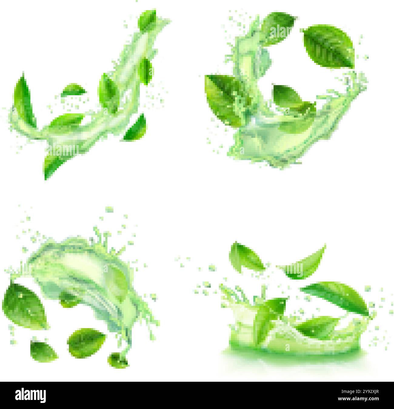 Green tea splashes. Herbal water splash with mint leaves fresh drink ...