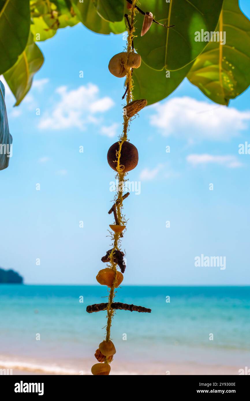 Marine vertical landscape. Decoration on a tree, thread with shells, on ...