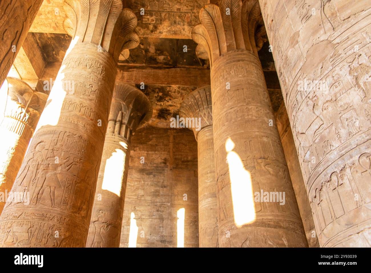Marvel at the immense scale of Edfu's mighty pillars. These towering ...