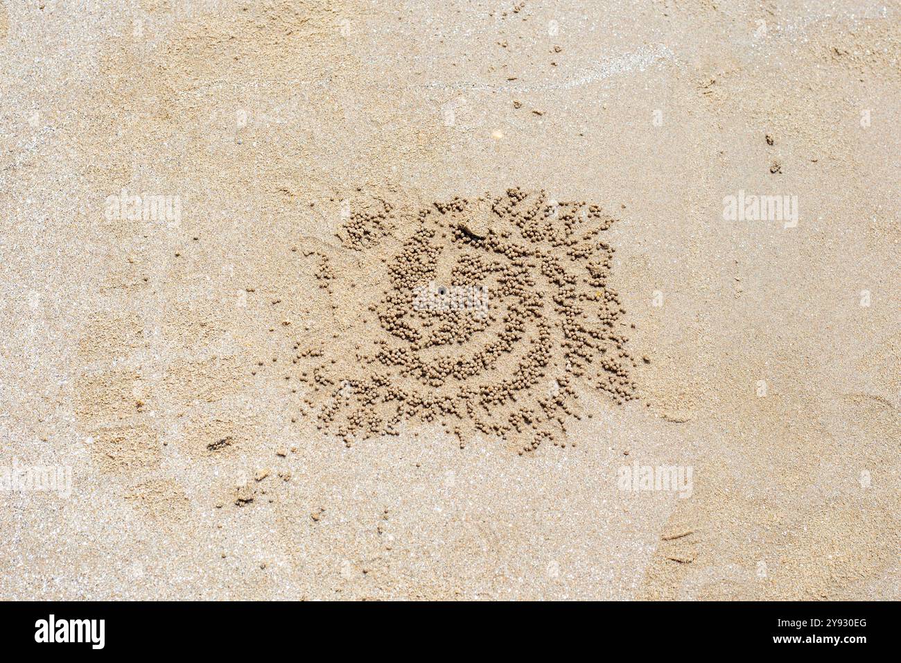 Sand drawing made by a crab. Small hole and sand balls in a circle ...