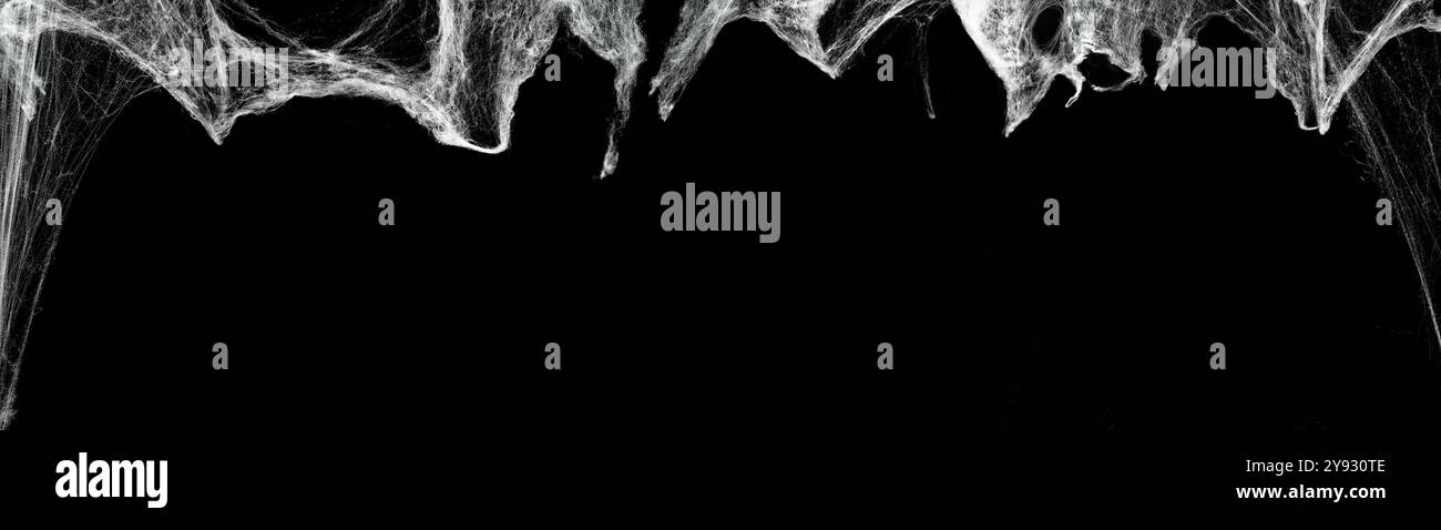 Frame of spooky creepy cobweb spider web on black background. The scene ...
