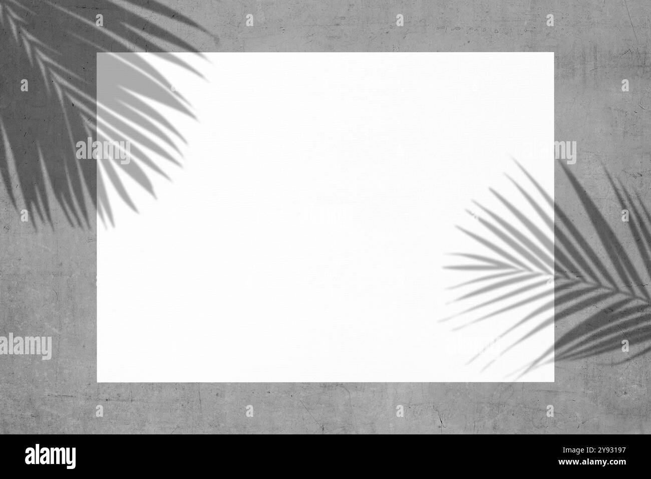 Mock up holiday greeting Black and White Stock Photos & Images - Alamy