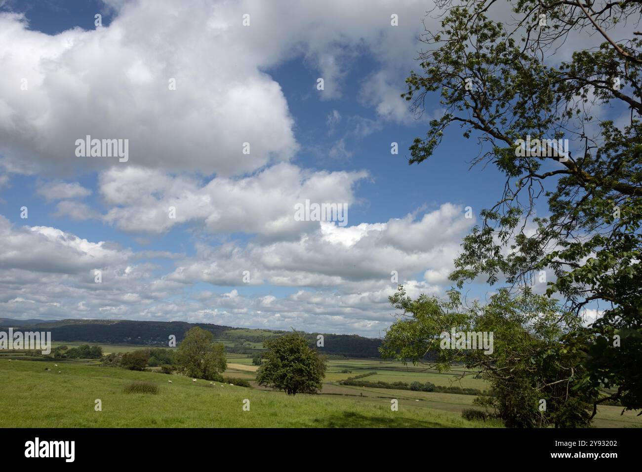 View across the Lyth Valley from the slopes of Whitbarrow rising above ...