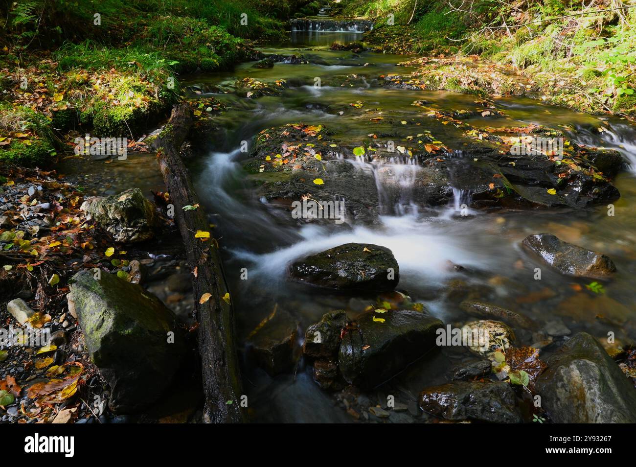 Woodland stream in Wales, Temperate rainforest, with motion blur, rocks ...