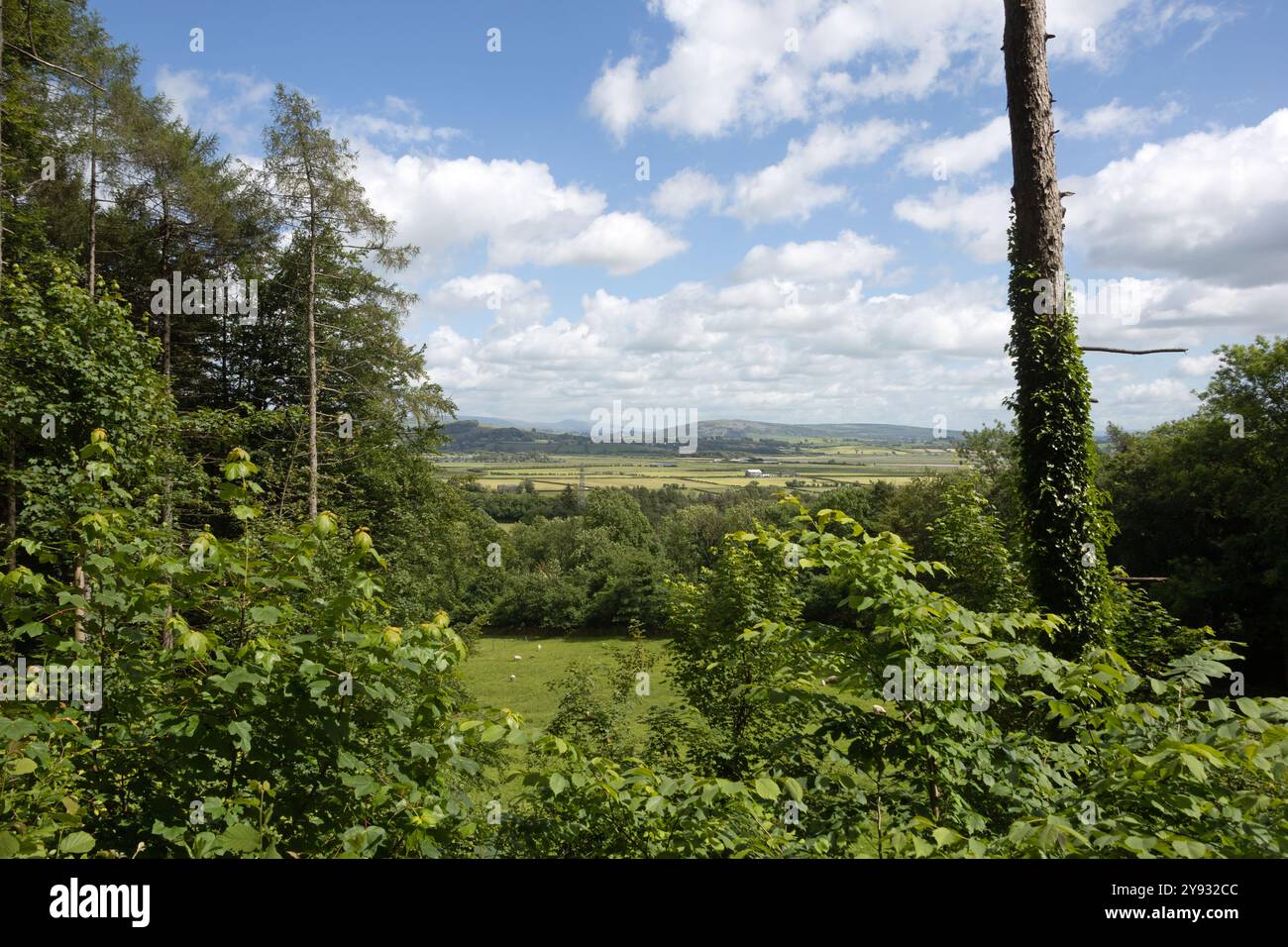 View across the Lyth Valley from the slopes of Whitbarrow rising above ...