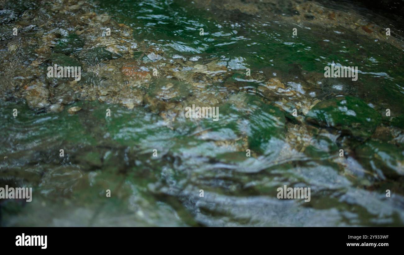 Close view shallow water rocks hi-res stock photography and images - Alamy