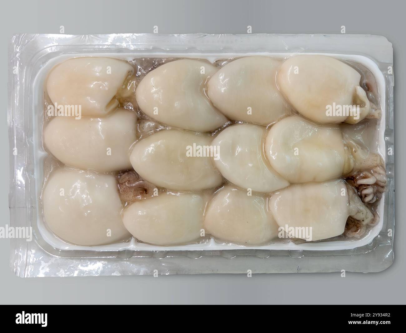 Frozen clean cuttlefish in vacuum pack isolated on gray background with ...