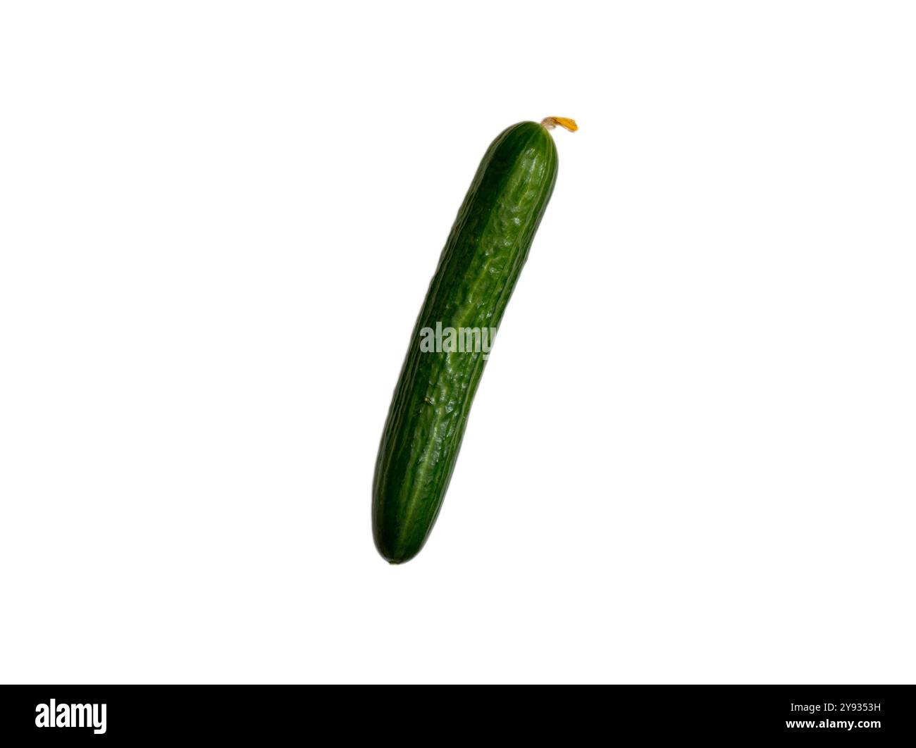 One Cucumber on a white background Stock Photo - Alamy