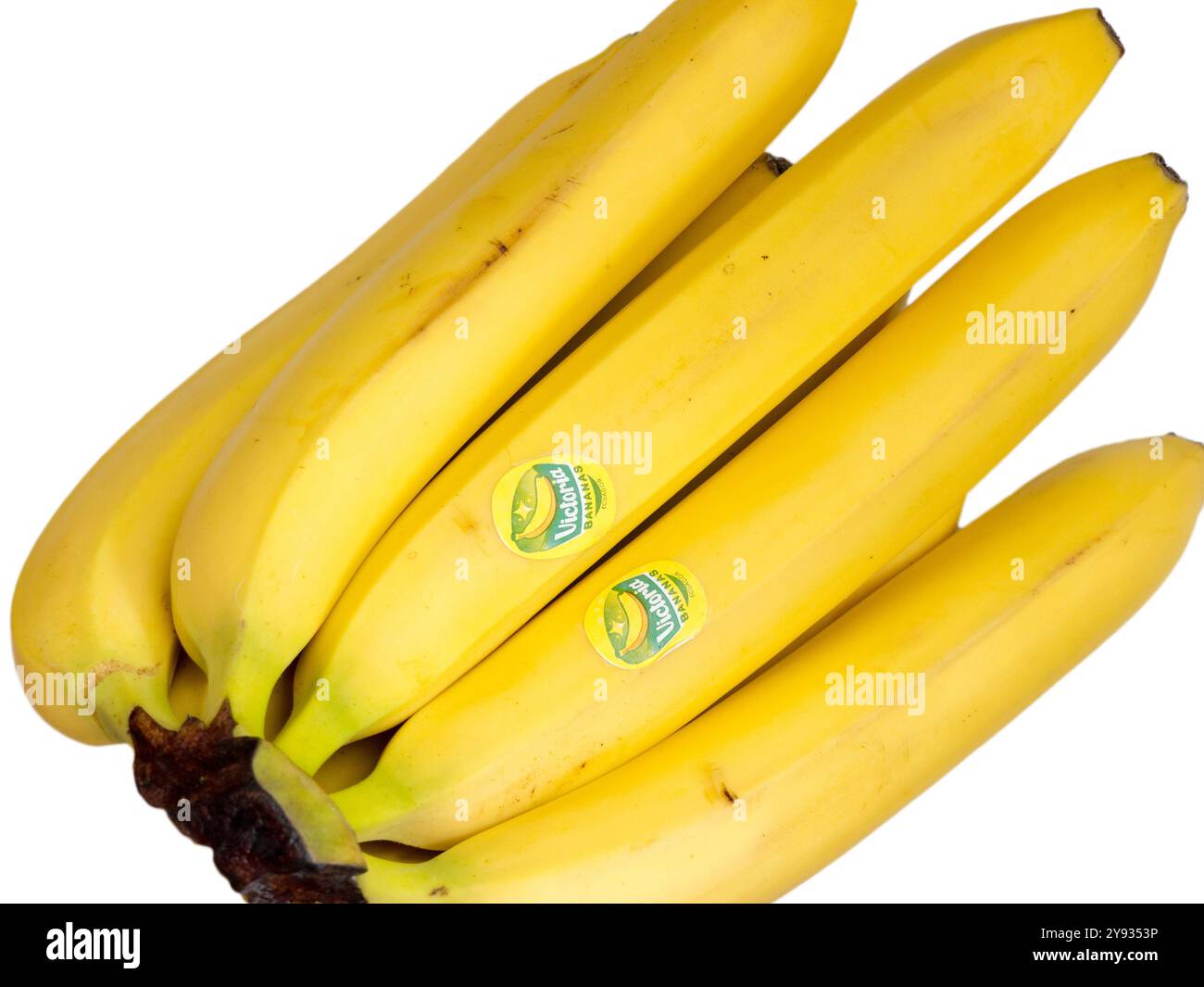 Victoria Bananas banana Stock Photo - Alamy