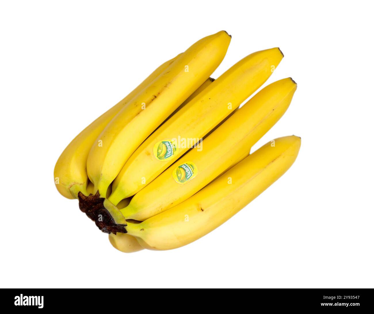 Victoria Bananas banana Stock Photo - Alamy