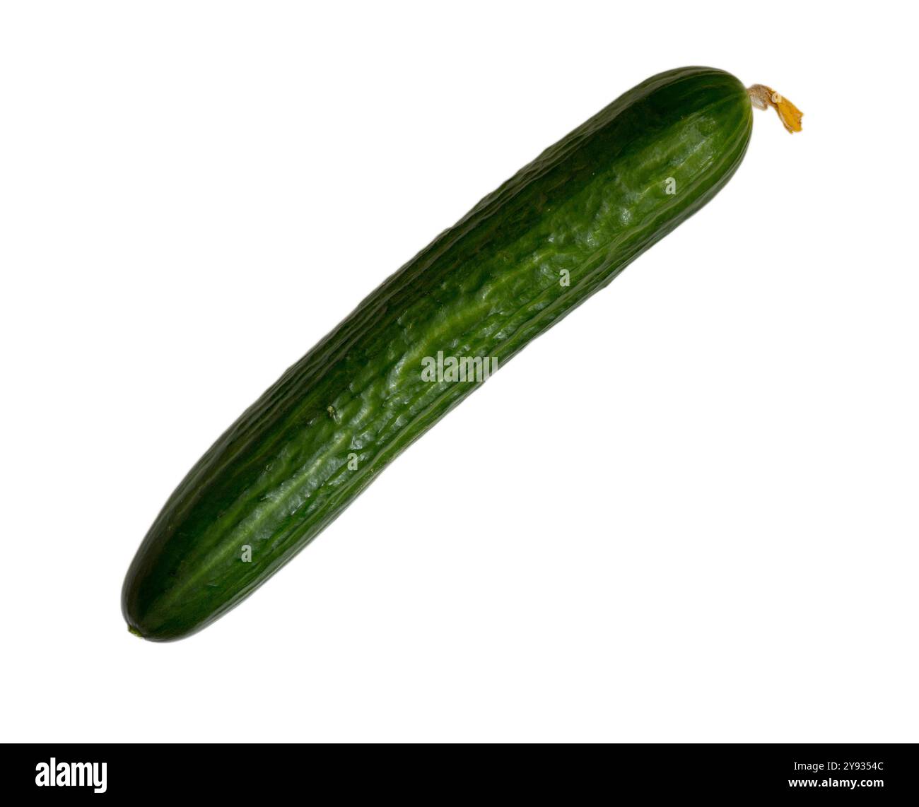One Cucumber on a white background Stock Photo - Alamy