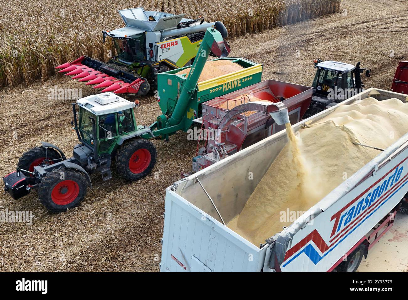Maisernte.Maehhaecksler,Haecksler. Umladen der Maisernte von einem ...