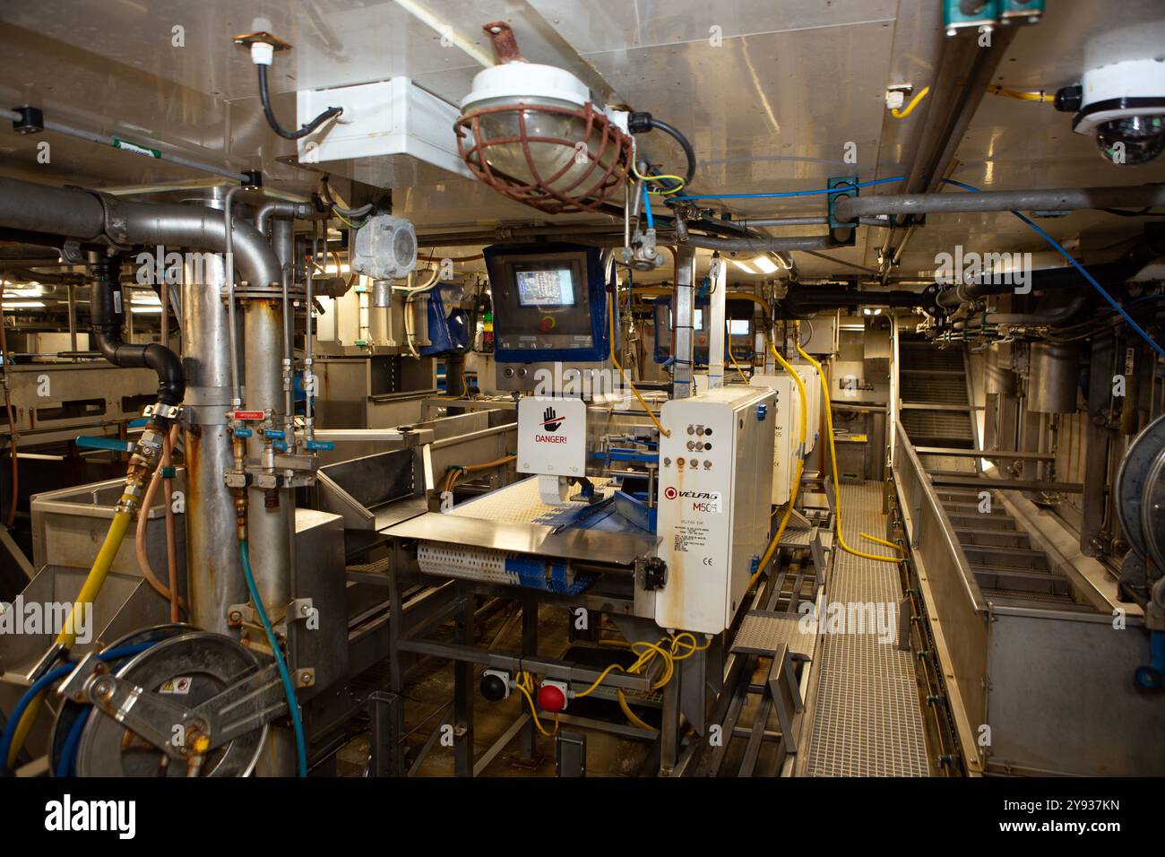 The 'Factory' where the fish are processed onboard the Kirkella. The ...