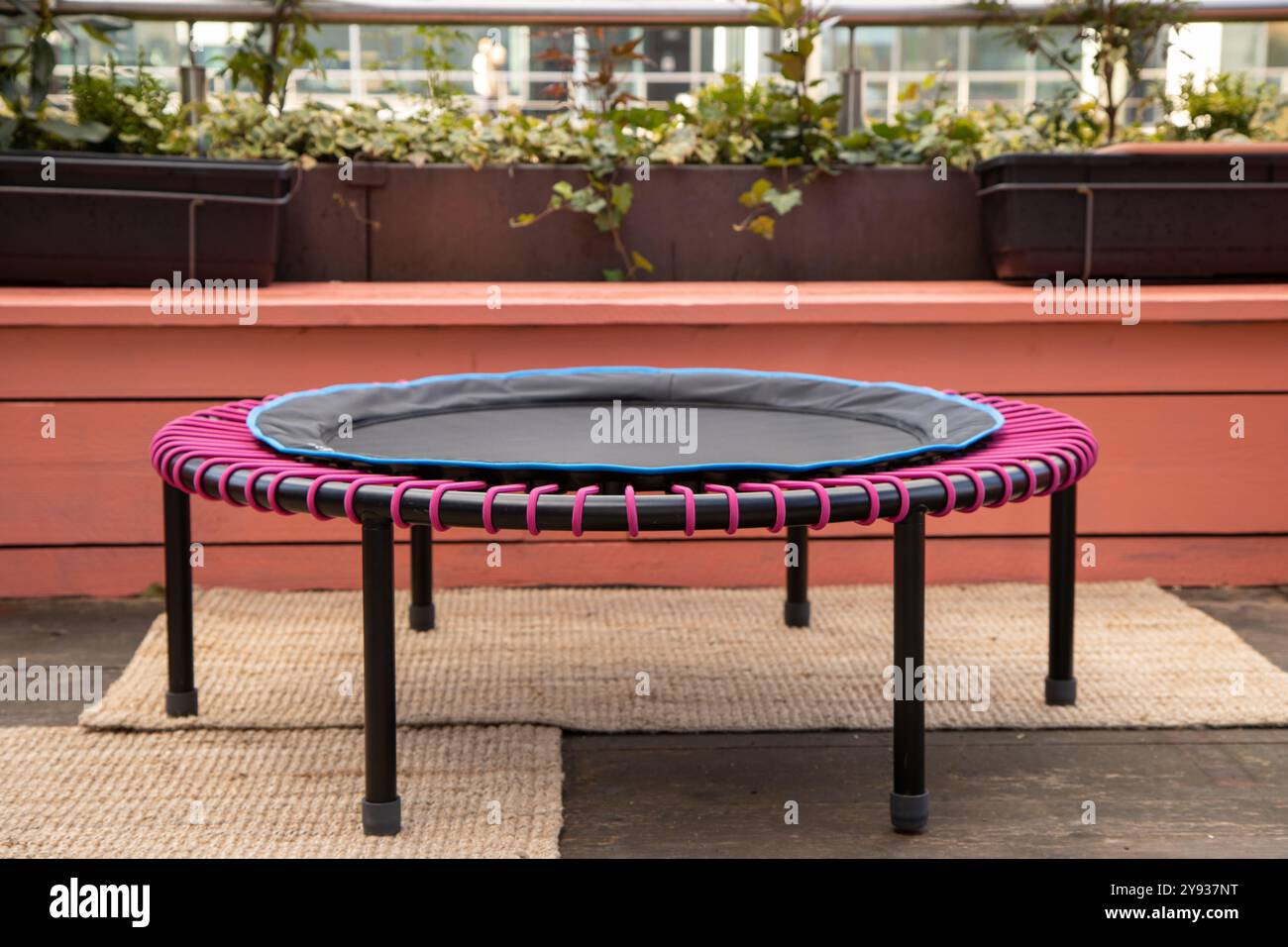 A sports mini trampoline with pink edging and black metal legs Stock ...