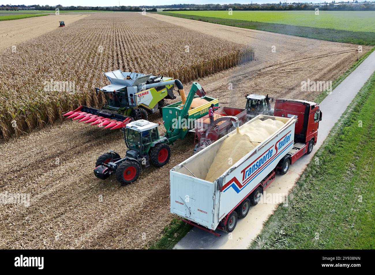 Hair, Deutschland. 08th Oct, 2024. Corn harvest. Mower, chopper ...