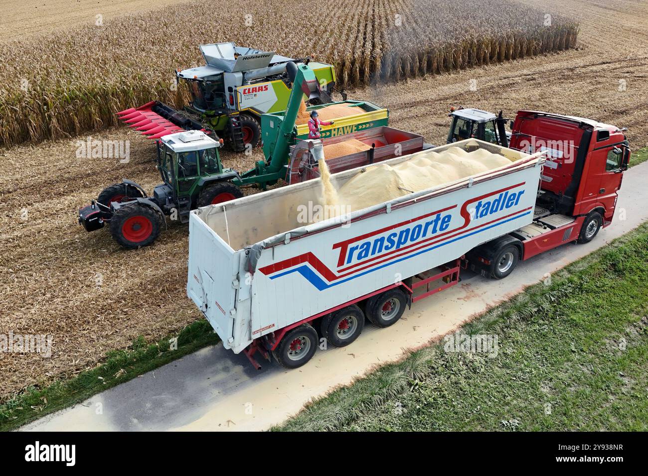 Hair, Deutschland. 08th Oct, 2024. Corn harvest. Mower, chopper ...