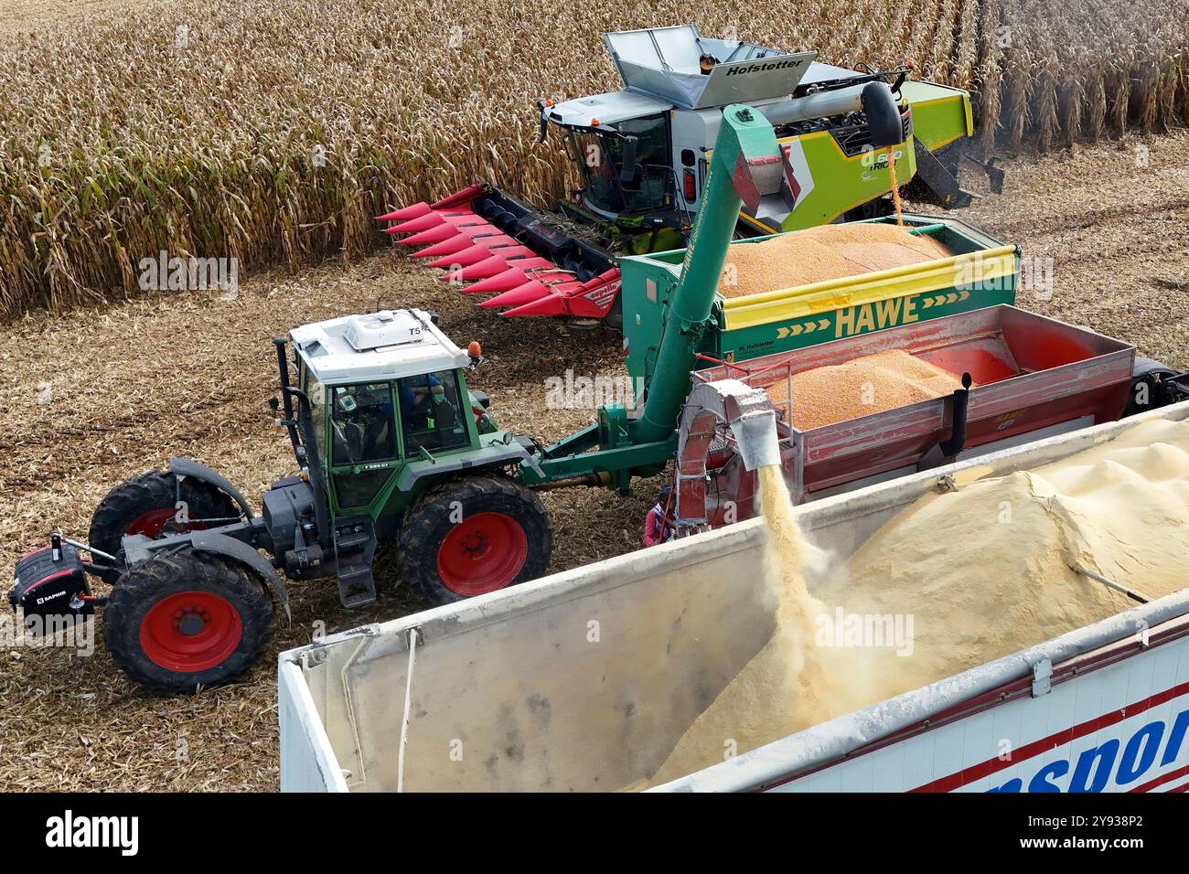 Hair, Deutschland. 08th Oct, 2024. Corn harvest. Mower, chopper ...