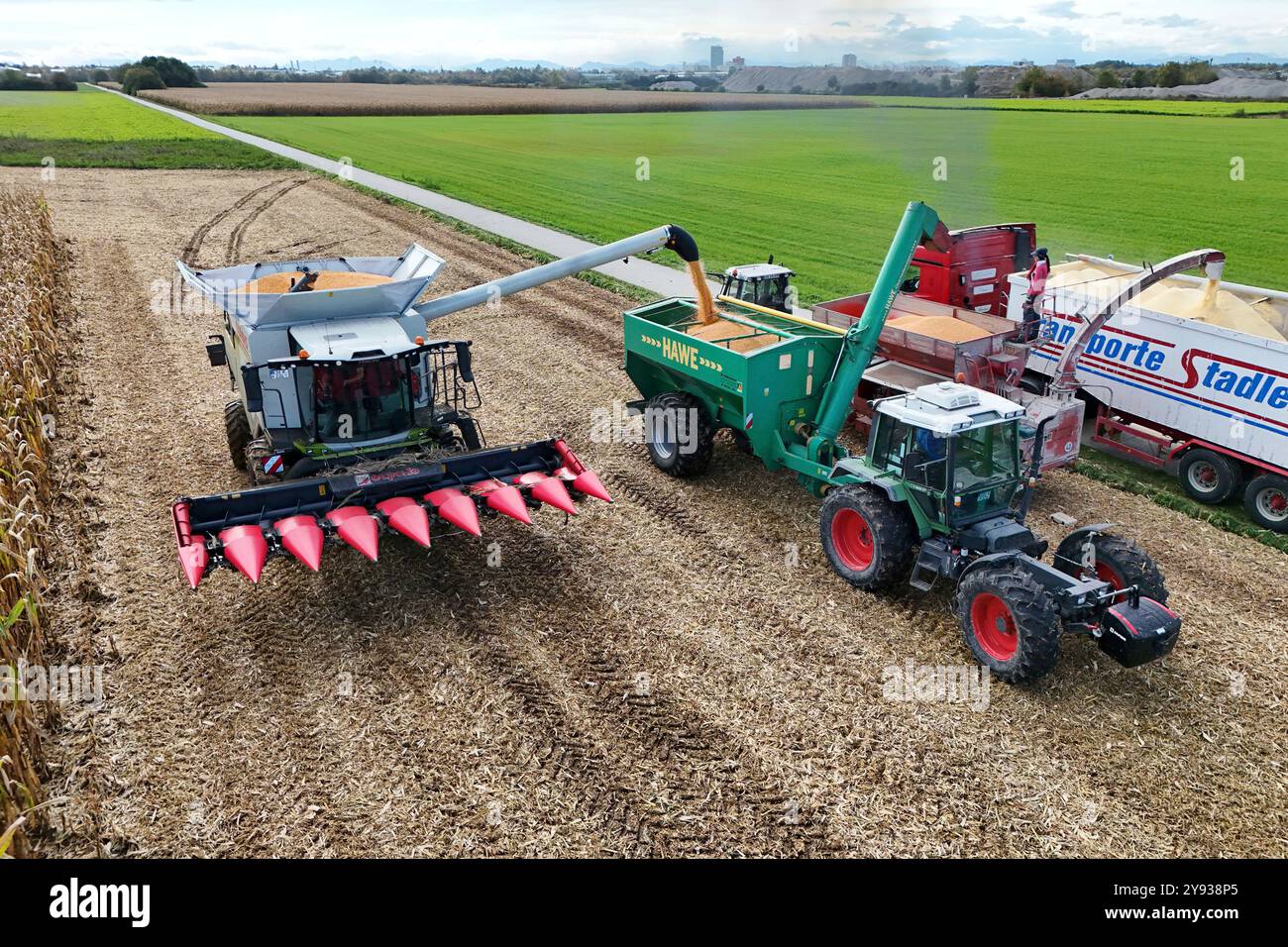 Hair, Deutschland. 08th Oct, 2024. Corn harvest. Mower, chopper ...