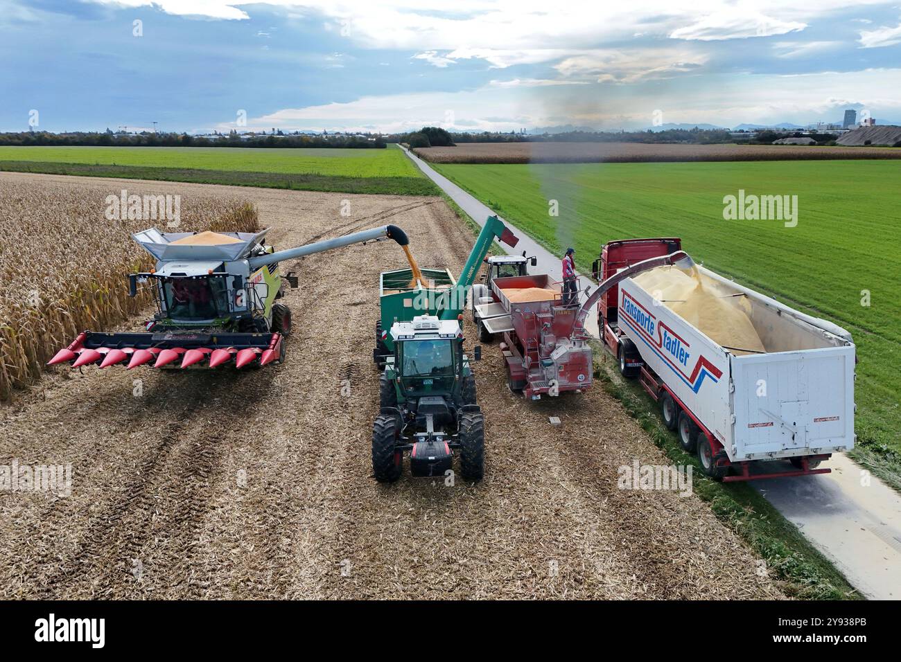 Hair, Deutschland. 08th Oct, 2024. Corn harvest. Mower, chopper ...