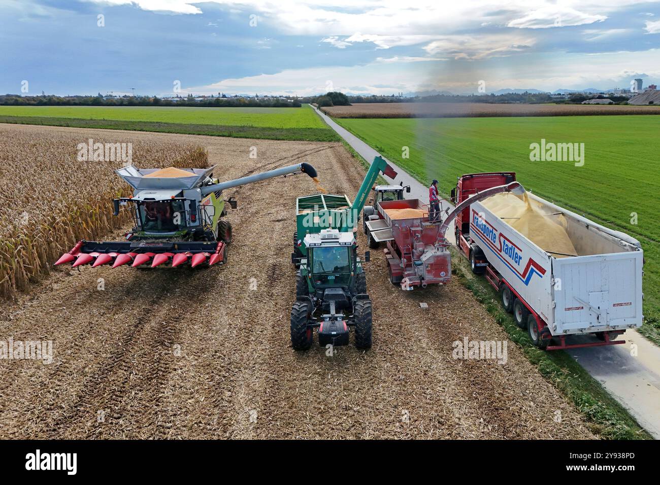 Hair, Deutschland. 08th Oct, 2024. Corn harvest. Mower, chopper ...