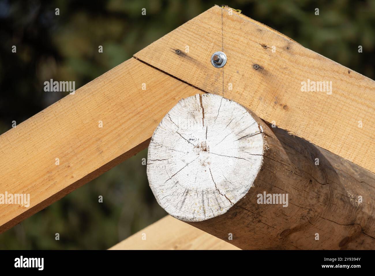 Log house roof is under construction. Background photo with rafters and ...