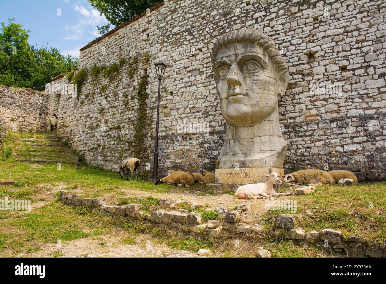 The Head of Constantine the Great and some sheep and goats who wander ...